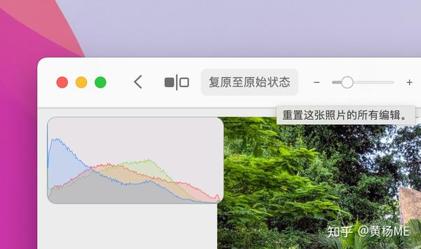 Mac照片编辑软件新添一员，Photomator和Pixelmator Pro有啥区别？ - 知乎