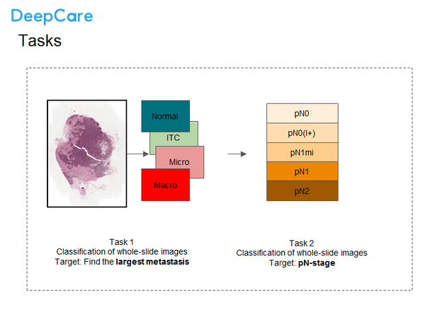 Camelyon Challenge: 癌症细胞区域检测竞赛 - 知乎