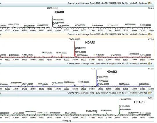 基于高分辨质谱技术的完整蛋白定量定性一体化生物分析 - 知乎