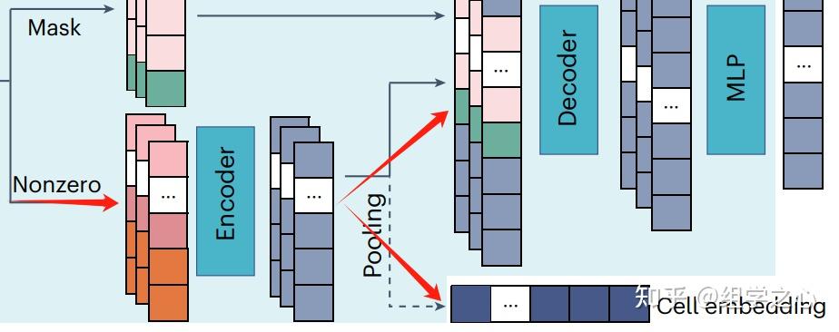 nature methods | 单细胞转录组学的大基础模型scFoundation的具体细节 - 知乎