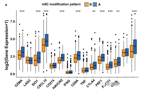 国自然新热点-m5C！学会这个能让你的生信分析文章弯道超车，7分+文章轻松到手！ - 知乎