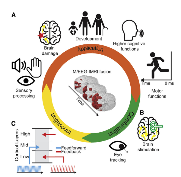 文献｜Neuron：M/EEG和fMRI的融合能够帮助我们同时了解到人脑在时空上的反应 - 知乎
