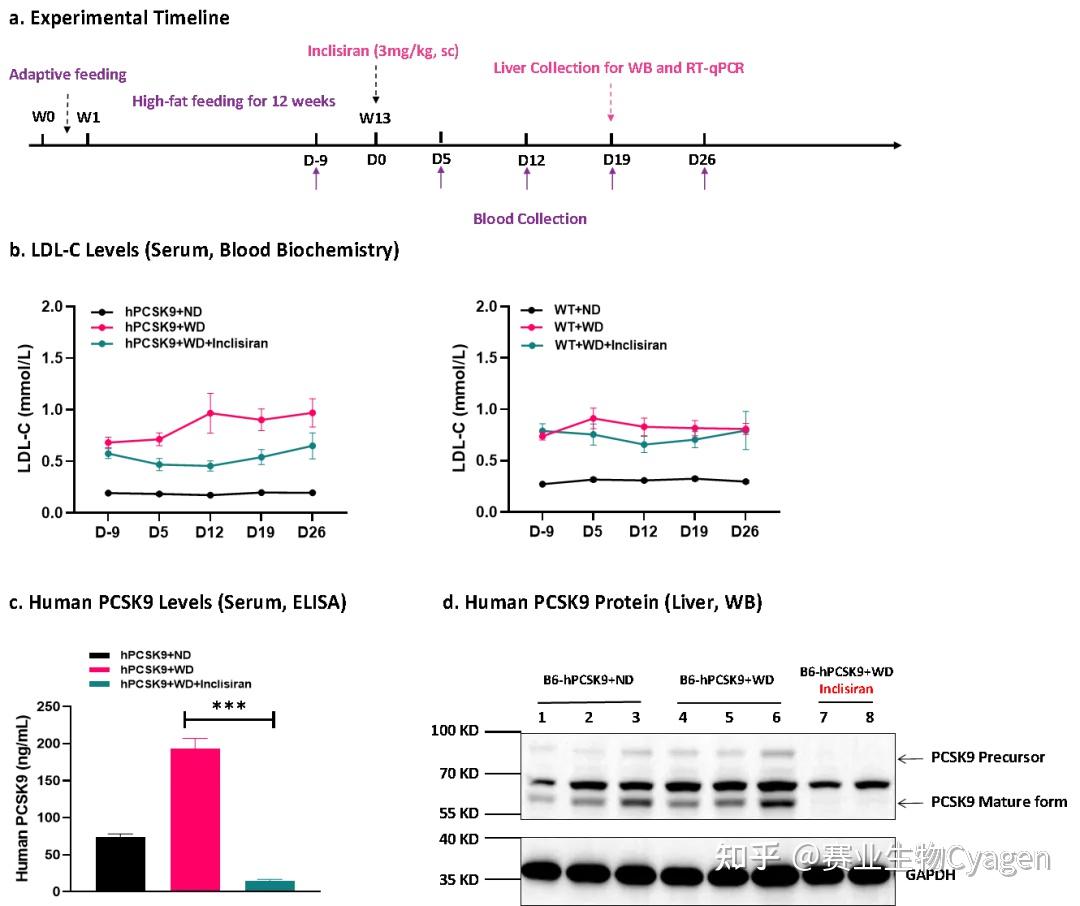 PCSK9：从“降脂明星”到肝脏靶向疗法“概念验证标准靶点”（附人源化小鼠最新数据） - 知乎