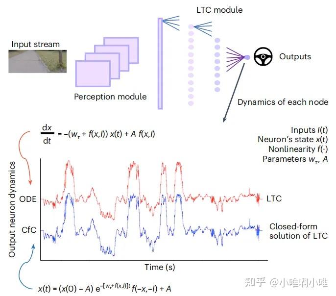 登上Nature子刊！热门论文方向：液态神经网络 - 知乎