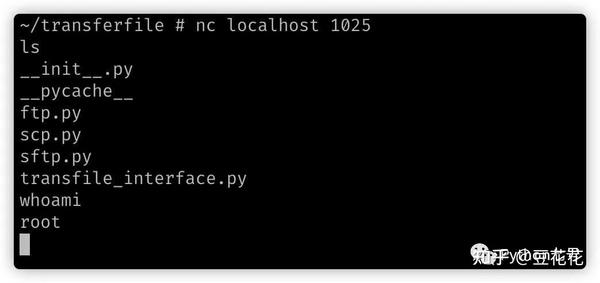 手写一个 Python "病毒" - 知乎
