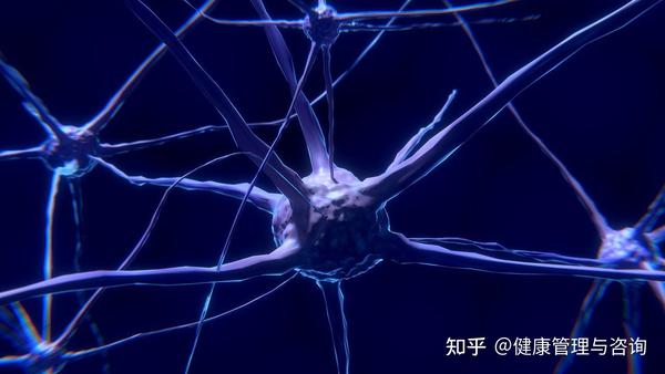 发现 WA1/2020、Delta 和 Omicron 毒株可感染人类感觉神经元 - 知乎