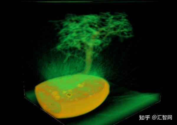 体渲染原理及WebGL实现【Volume Rendering】 - 知乎