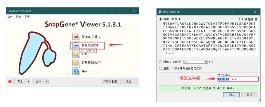 SnapGene Viewer软件序列可视化操作 - 知乎