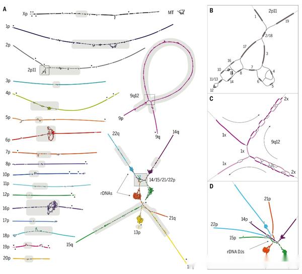 Nature Method | 2022年最值得关注——长读段测序（Long-read sequencing） - 知乎