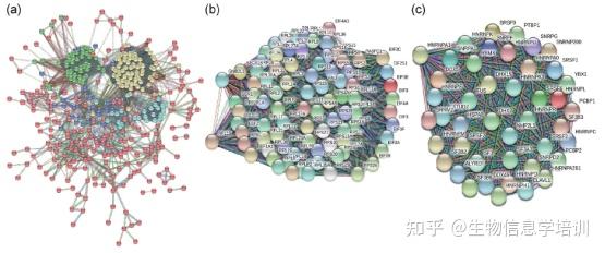 想要IF6+, meta分析联合生信分析就够了 - 知乎