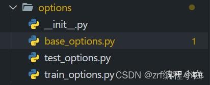Pytorch代码中的options文件 - 知乎