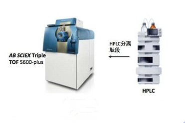 SWATH蛋白组学 - 知乎