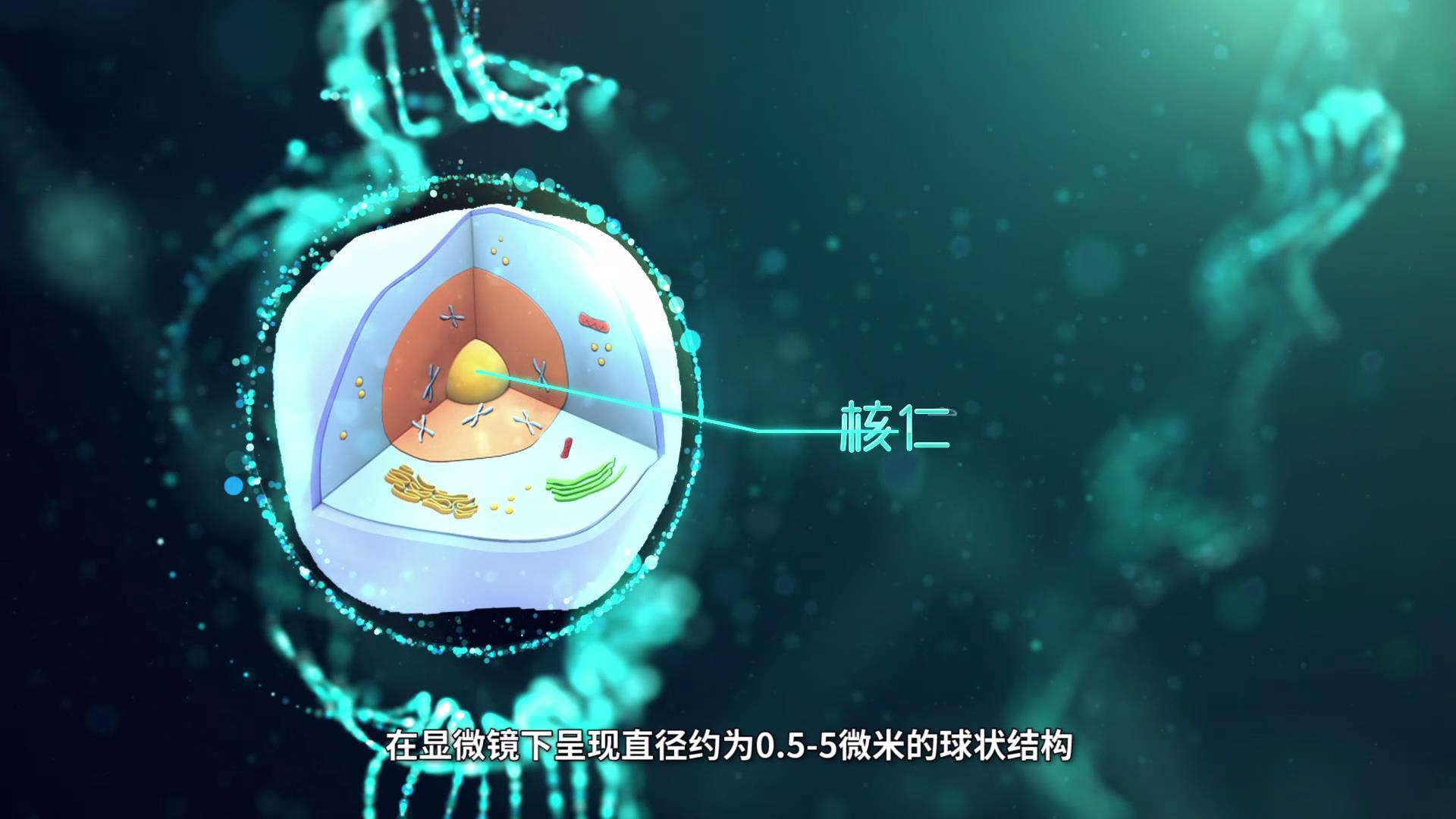 基础研究新突破！上海科学家发现核糖体 RNA 「超级工厂」的运行新机制 - 知乎