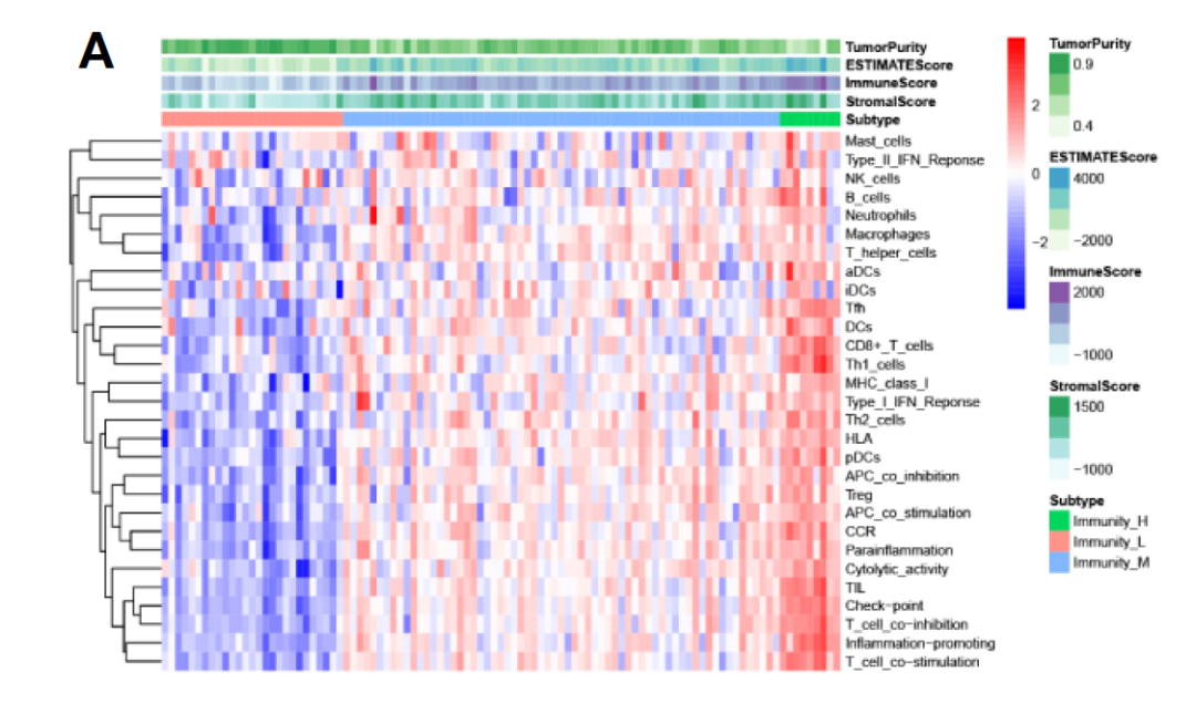 【实战】29种免疫细胞基因集GSVA分析 - 知乎