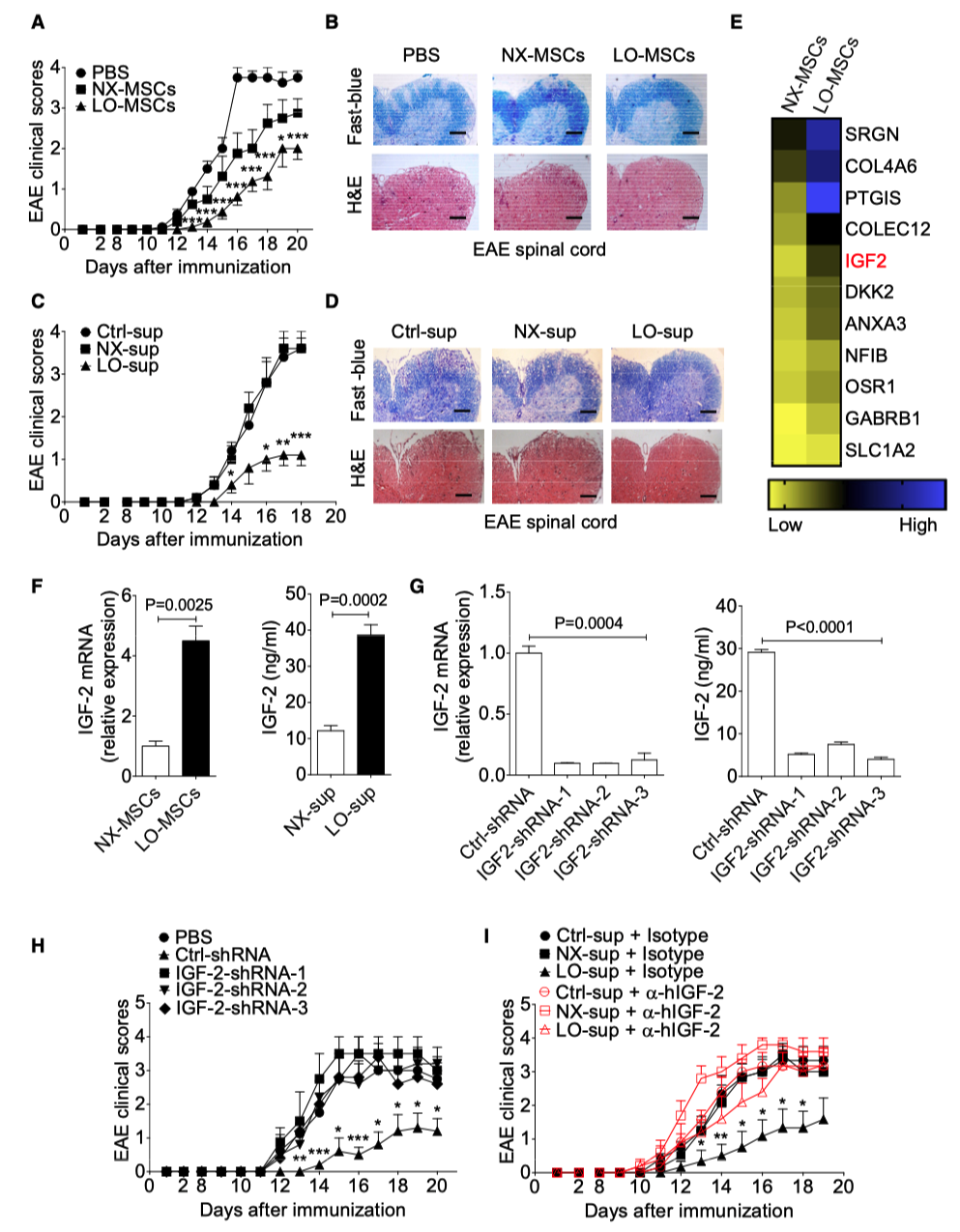 Immunity丨IGF-2处理使巨噬细胞代谢重编程从而发挥抗炎作用 - 知乎