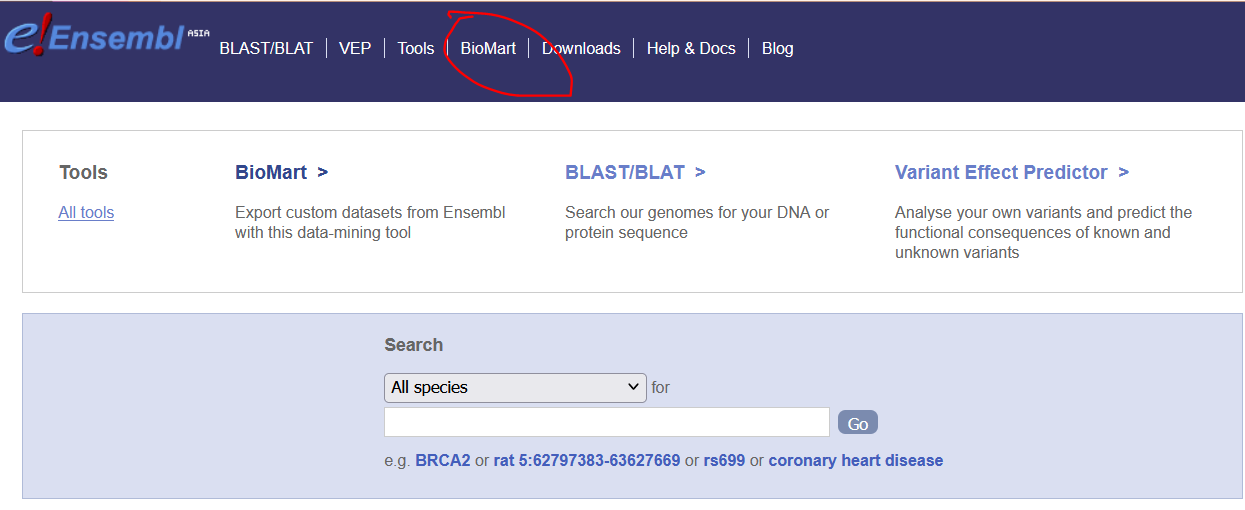 Ensemble官网BioMart及R语言biomaRt包获取人鼠同源基因 - 知乎