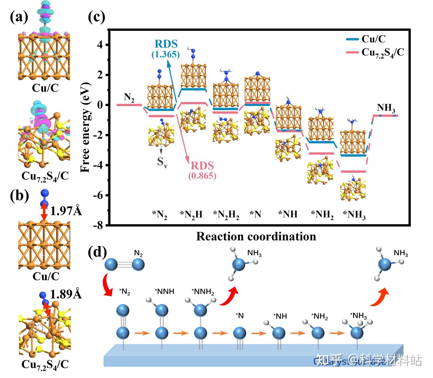 石河子大学于锋教授团队IJHE文章：微通道反应器制备富含硫空位的Cu7.2S4/C电催化氮还原制氨催化剂 - 知乎
