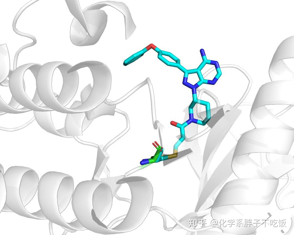 【保姆级】ADFR共价对接 (Covalent Docking) 教程 - 知乎
