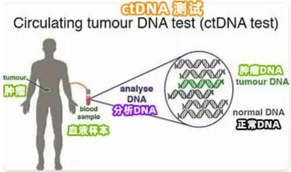 科普讲堂 | 一起走进ctDNA（循环肿瘤DNA） - 知乎
