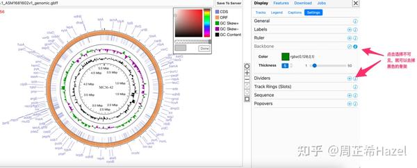 生信log22|CGviewer升级啦-交互式操作画基因组Circos圈图（使用和评价） - 知乎