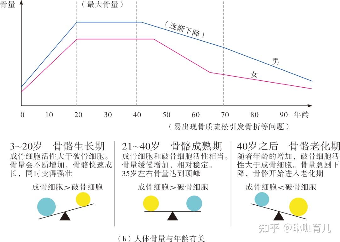 从小白到达人，12个热点问答看懂CBP初乳碱性蛋白 - 知乎