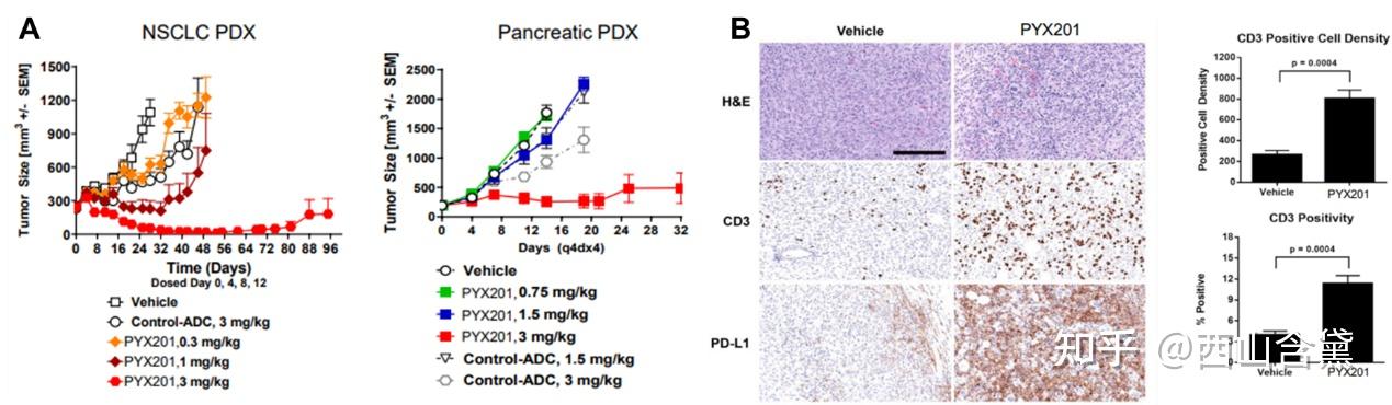 国内外知名企业ADC技术平台(第十三期)-Pyxis Oncology - 知乎
