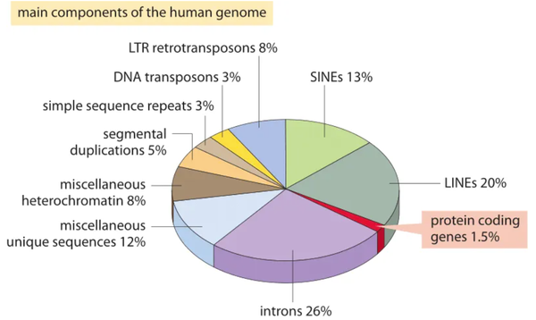 分子生物学整理|基因和DNA笔记（三）基因组 - 知乎