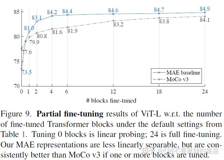 别再无聊地吹捧了，一起来动手实现 MAE(Masked Autoencoders Are Scalable Vision Learners ...
