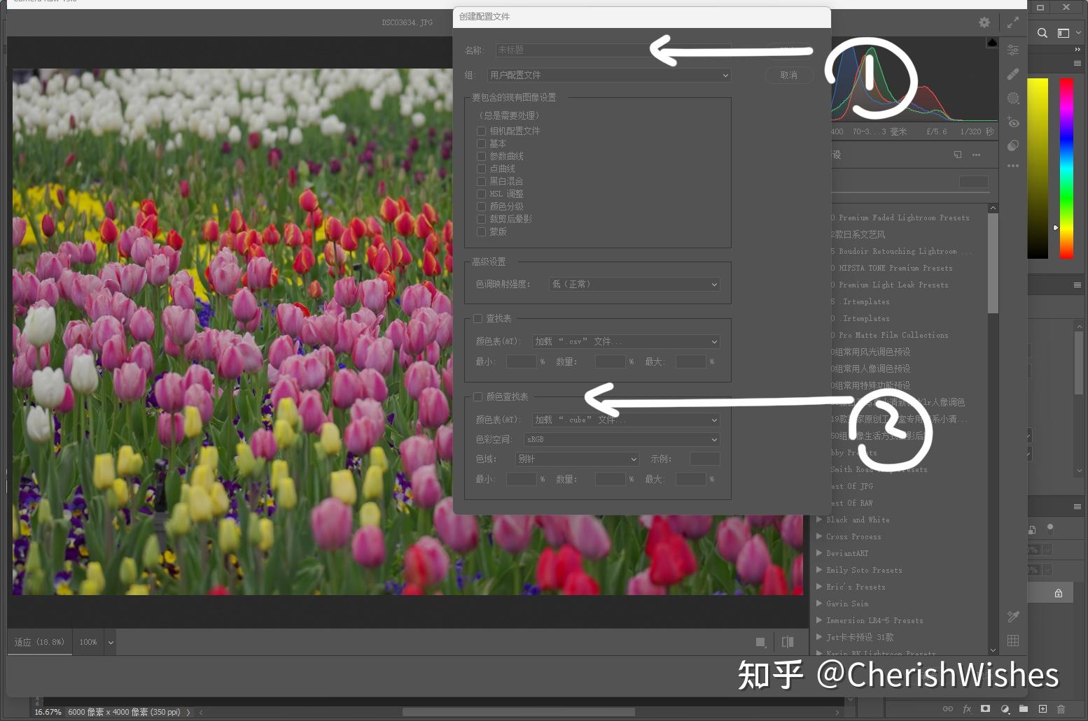 如何用索尼相机直出色彩好看且方便后期的泛用型照片和视频？ - 知乎