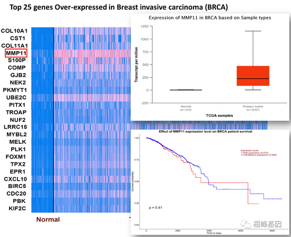 RNA 32. SCI文章临床多组学肿瘤在线数据挖掘神器（UALCAN） - 知乎