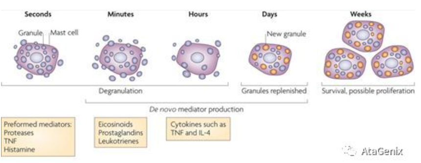 被蚊子发“红包”，你痒就对了！ - 知乎