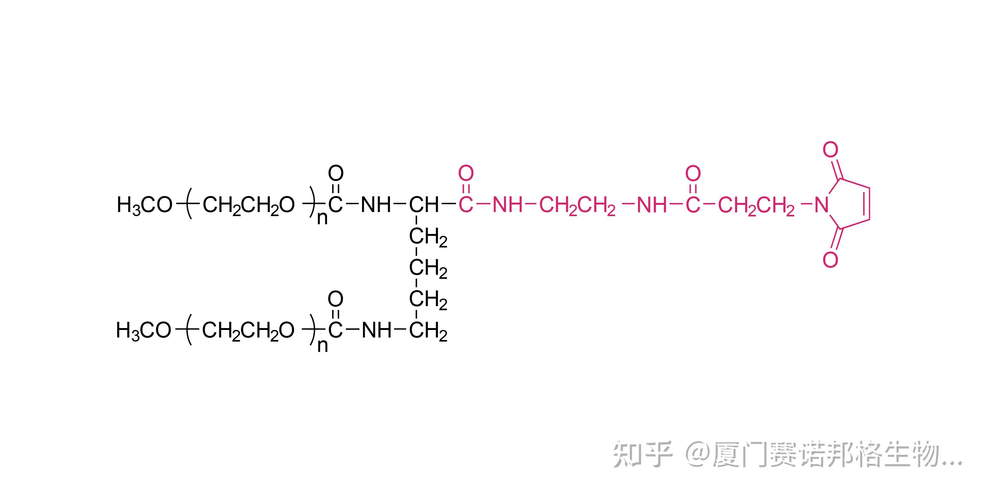 2-arm PEG-MAL | 两臂聚乙二醇马来酰亚胺 | 赛诺邦格PEG衍生物 - 知乎