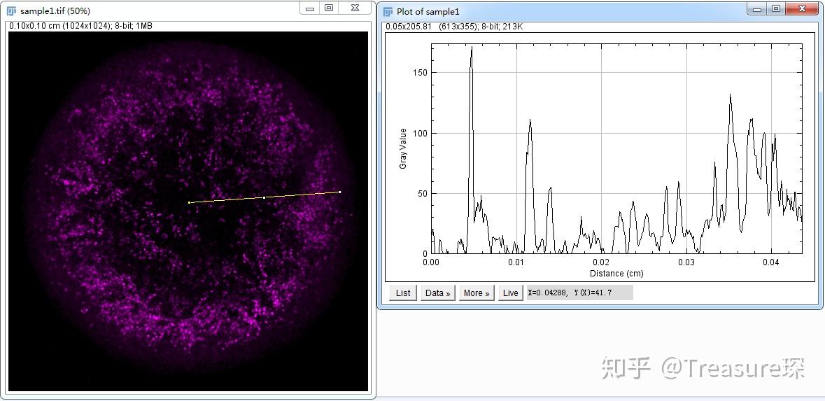 ImageJ实用技巧——径向荧光平均值检测(定量分析篇) - 知乎