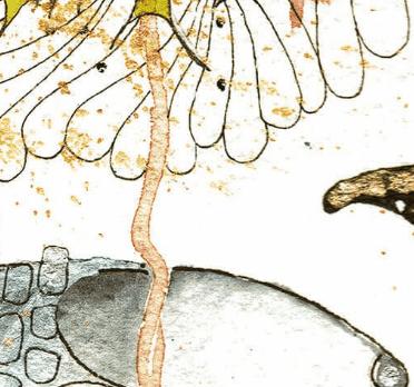 快速启动器：CLaunch （教程设置使用方法） - 知乎