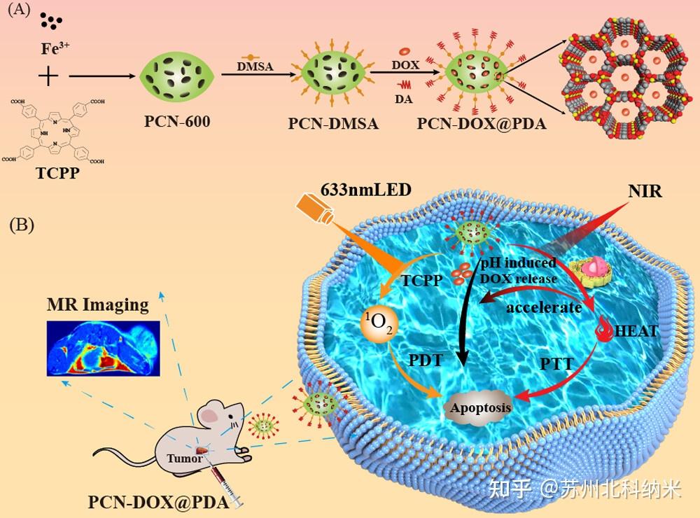 pH/NIR/GSH响应纳米材料 - 知乎