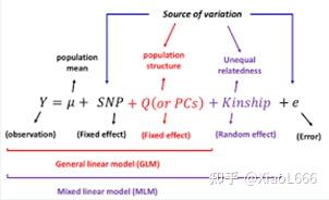 如何理解全基因组关联分析 - 知乎