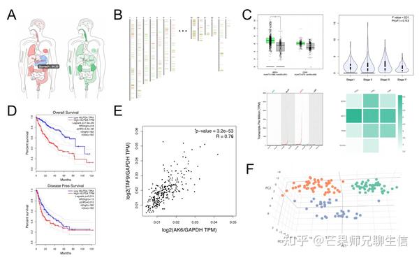 肿瘤免疫 · 实操教程Day04.GEPIA入门教程 - 知乎