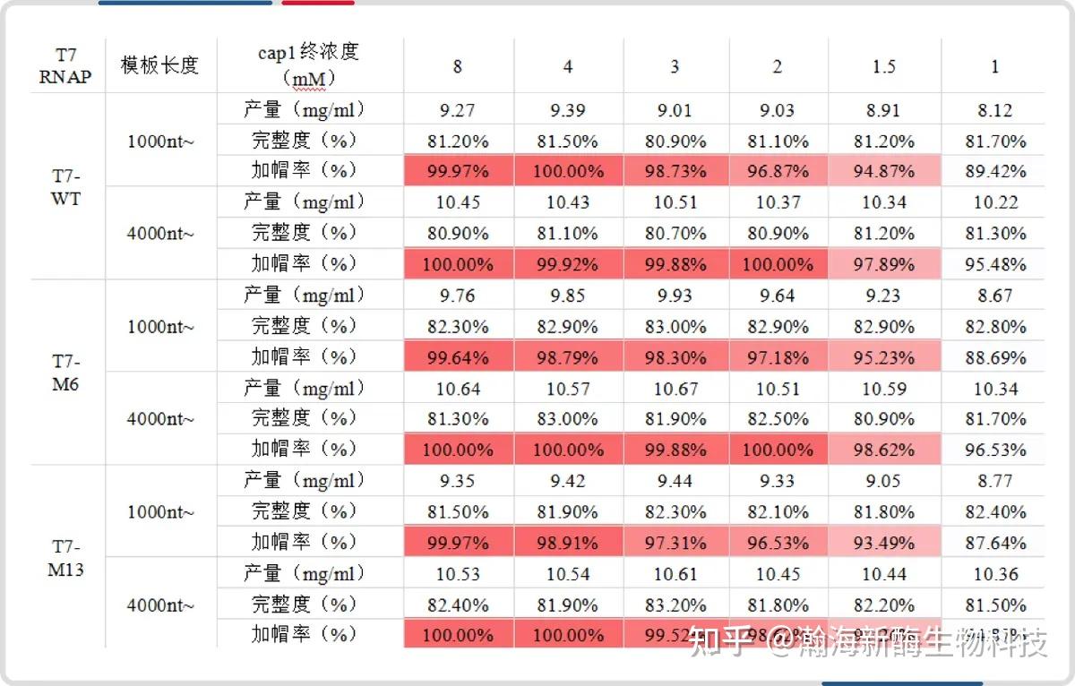 从蓝图到现实—探索mRNA的体外转录工艺 - 知乎