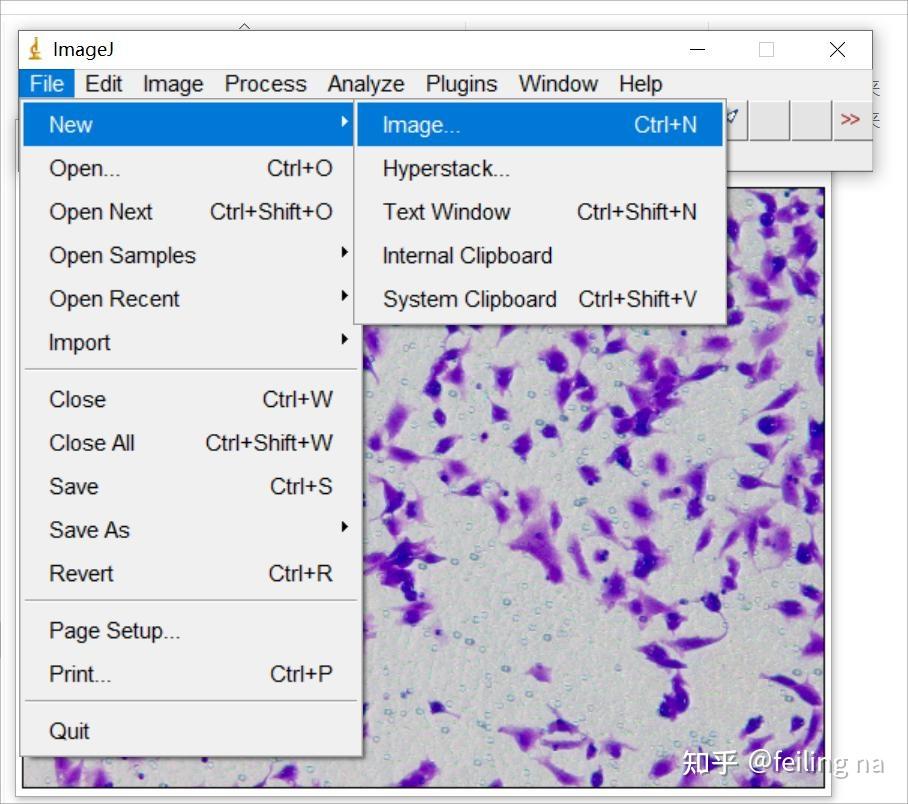 Transwell-Image J统计分析方法 - 知乎