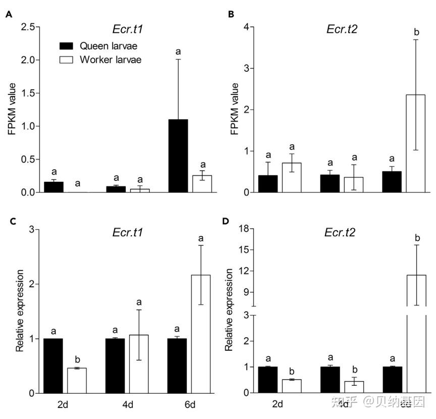DRS专题：如何开展DRS测序的后续验证实验？看这里给出的标准模板 - 知乎