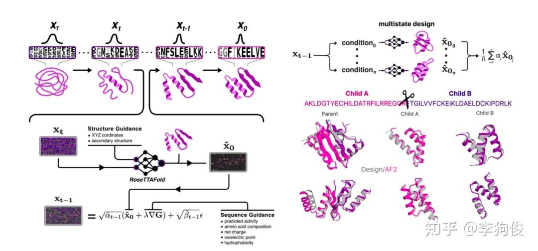 蛋白结构和序列的联合设计🤔 - 知乎