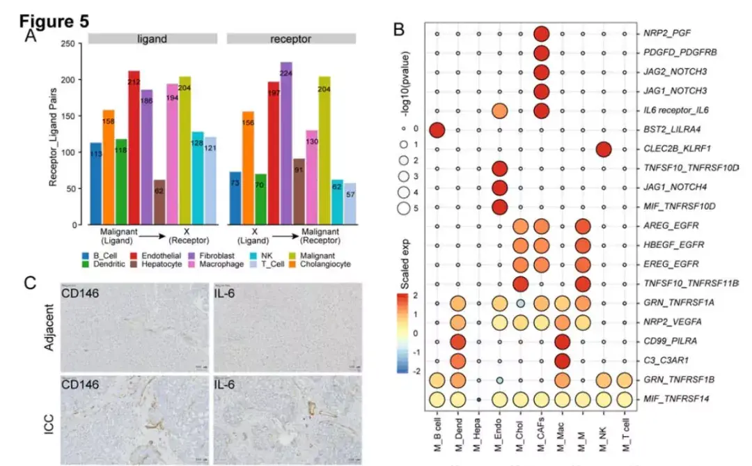 实用指南丨CellPhoneDB 细胞互作分析是什么？怎么看？如何用？ - 知乎