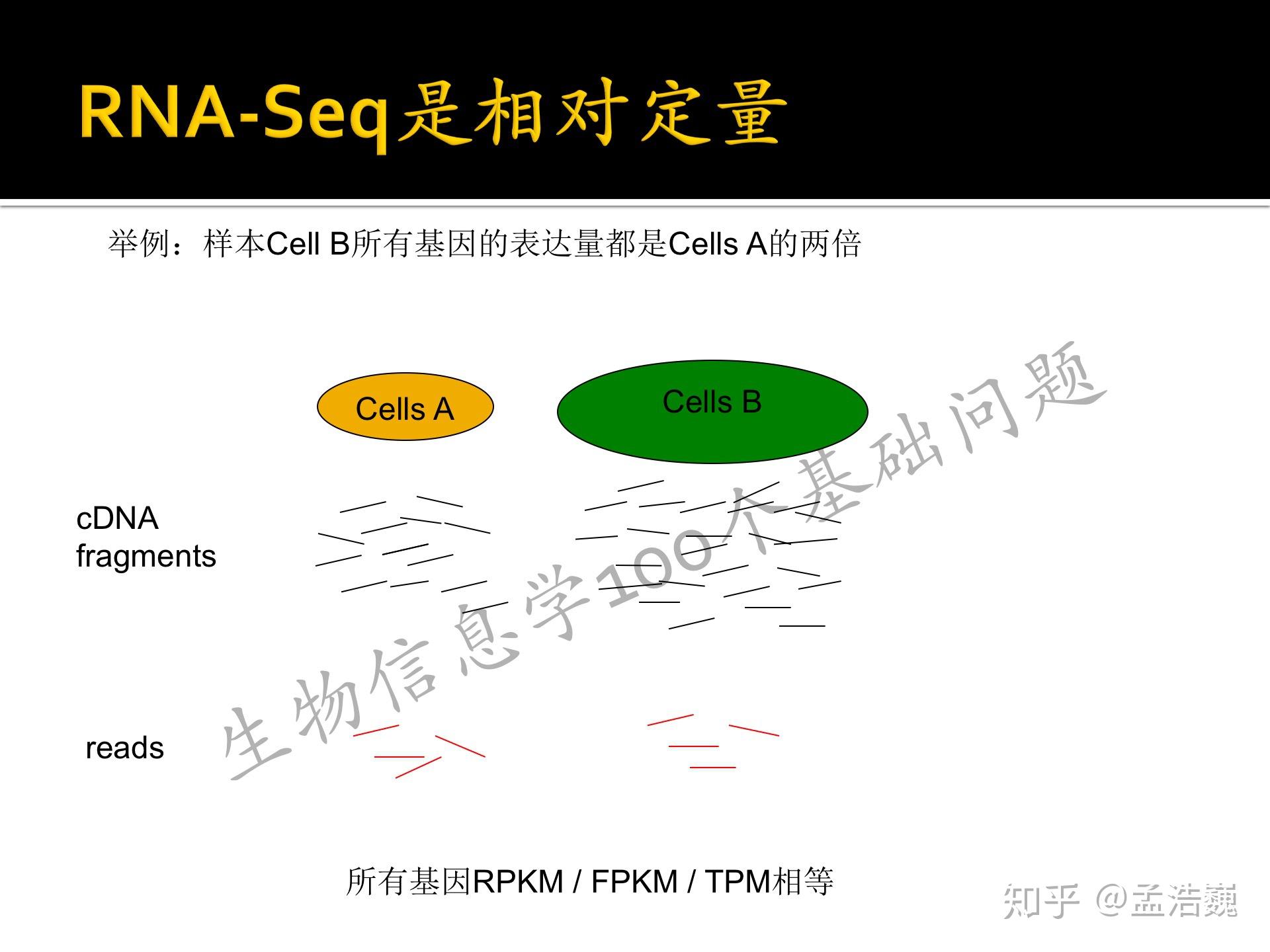 生信-第36题 RNA-Seq 数据的定量基本假设以及TPM - 知乎