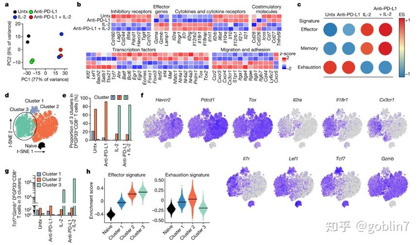 文献阅读——PD-1 combination therapy with IL-2 modifies CD8+ T cell ...