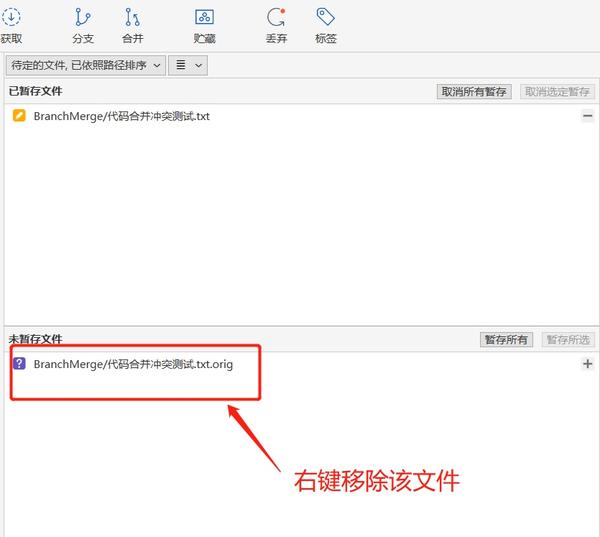 【全网最全面】sourcetree使用教程详解(连接远程仓库,克隆,拉取,提交,推送,新建 切换 合并分支,冲突解决,提交pr) 知乎