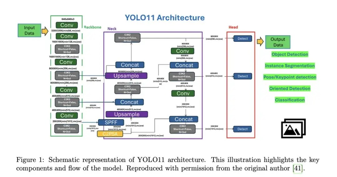 基于YOLO11的术中超声实时脑肿瘤检测：从模型训练到手术室部署 - 知乎