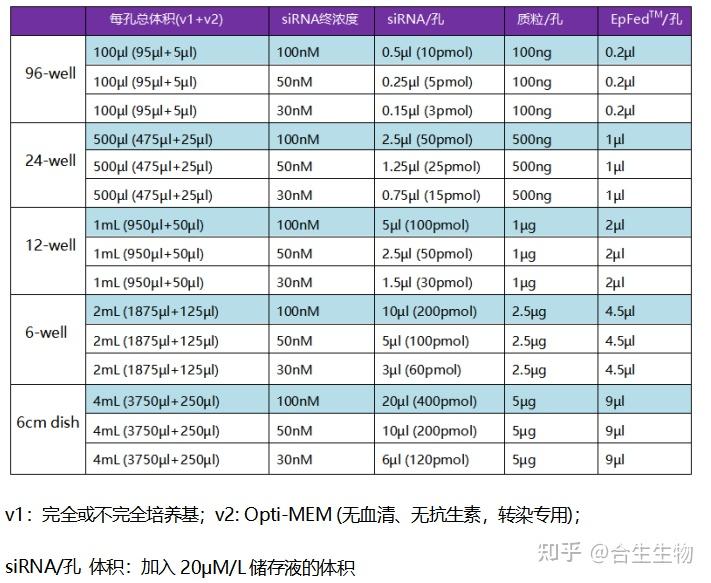 siRNA转染实验步骤及实验要点（附不同培养板转染体系参考） - 知乎
