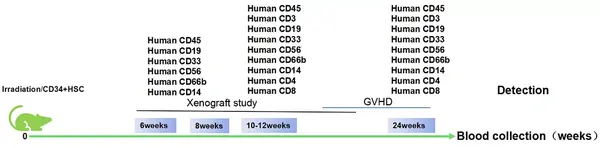 CD34+ HSC人类免疫系统重建好帮手 - 知乎