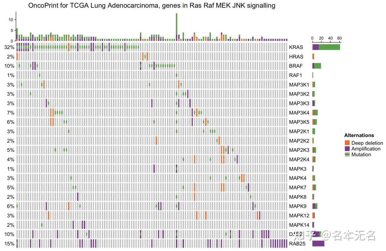 R 数据可视化 —— 聚类热图 ComplexHeatmap(五)oncoprint - 知乎