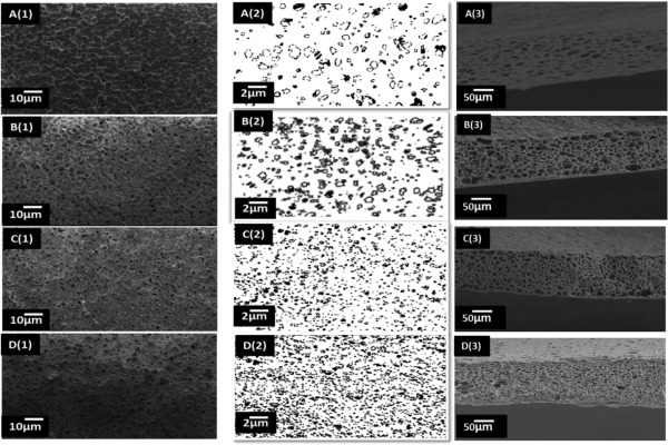 英国曼彻斯特大学刘旭庆博士课题组《CEJ》 ：相转化PVDF纺织污水处理薄膜 - 知乎